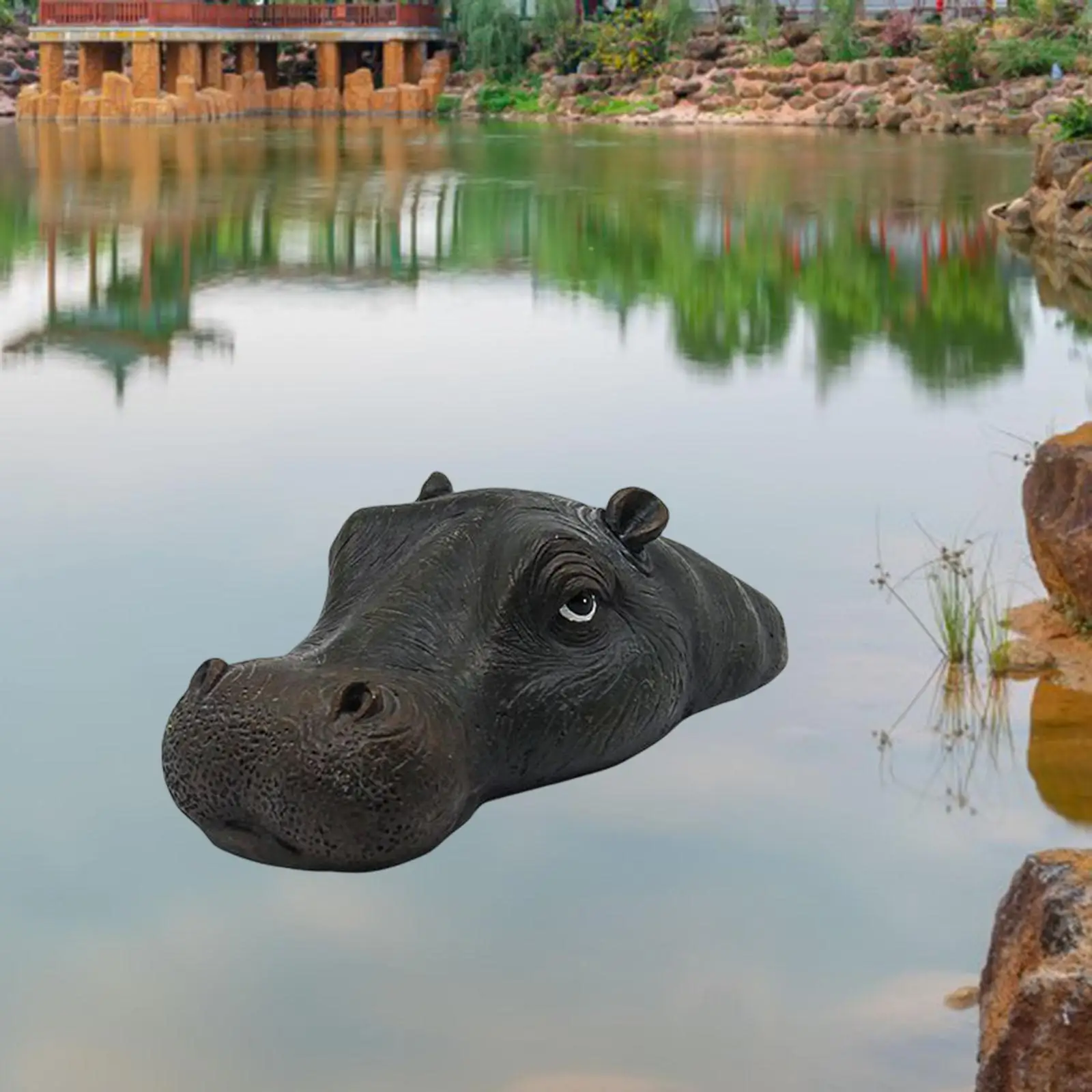 Hippo Head