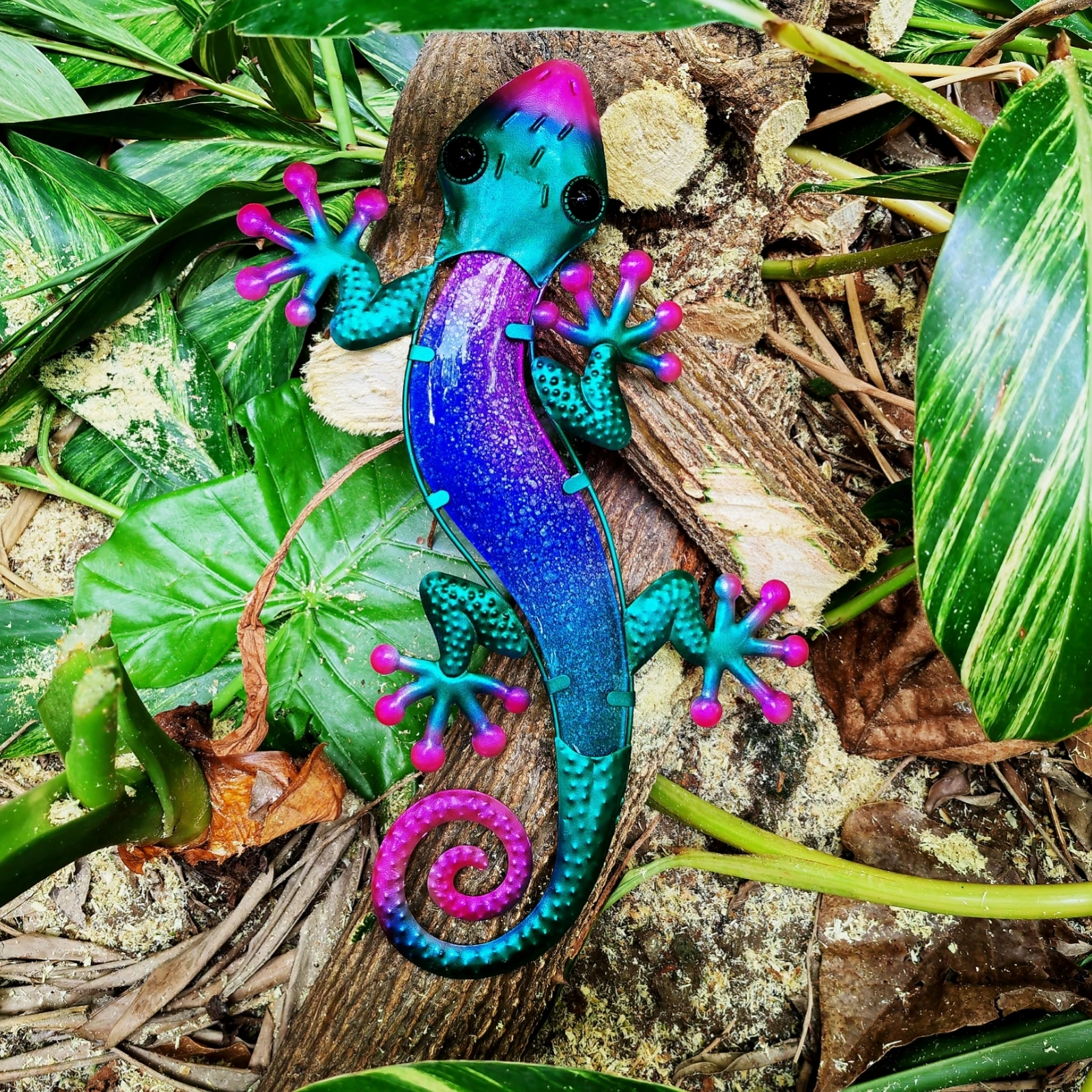 Blue Rainbow Lizard