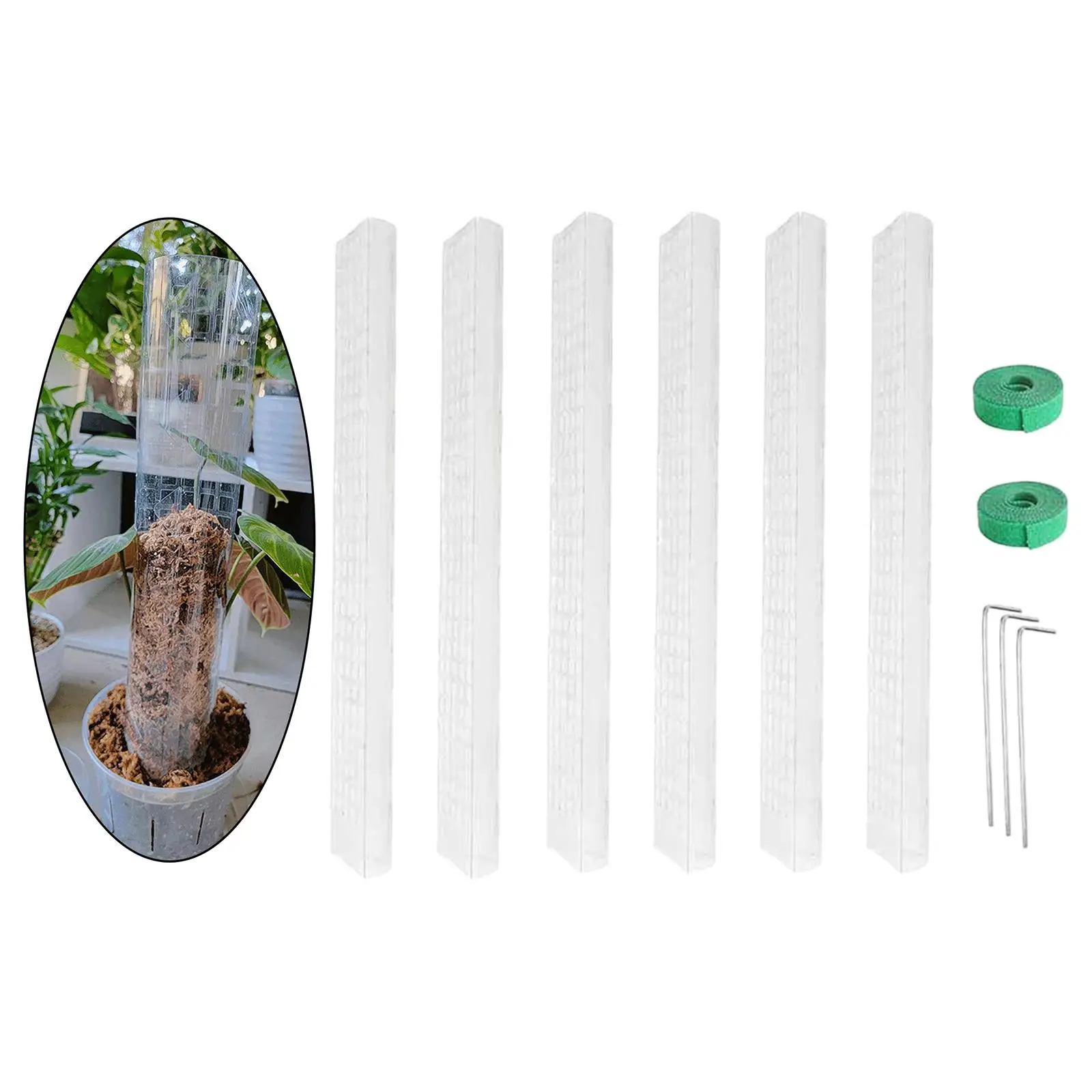 6-Pieces-Plastic-Moss-Pole-Attachable-Sturdy-Connectable-Stackable-Moss ...