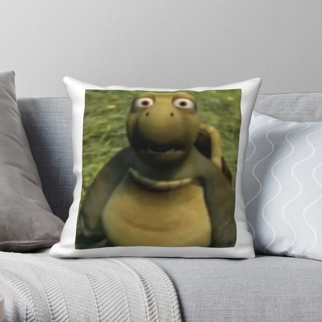 Over The Hedge Turtle