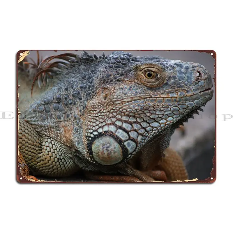 Iguana Metal Plaque Poster Wall Decor Garage Bar Iron Classic Tin Sign ...