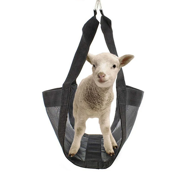 Weight Scale Sling Adjustable Animal Hanging Lamb Baby Calf Sling ...