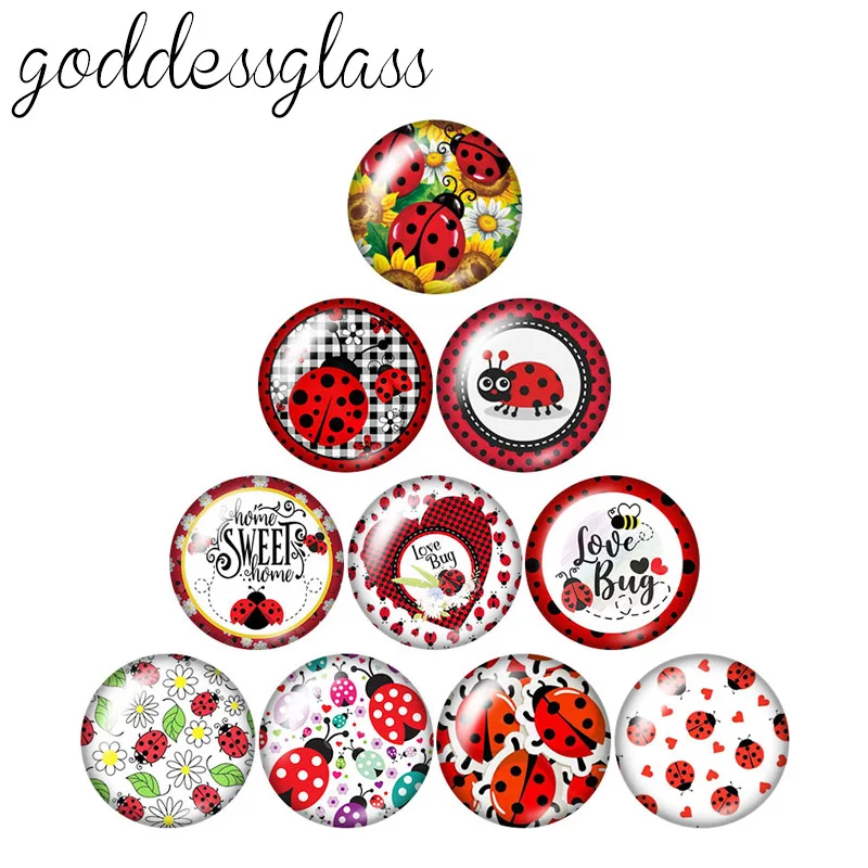 New-Cute-Ladybugs-Ladybird-insect-cartoon-10pcs-12mm-18mm-20mm-25mm ...