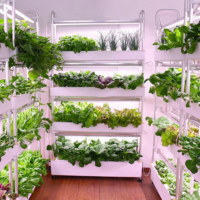 Soil-Less Gardening Systems: Hydroponics & Aeroponics Techniques for ...