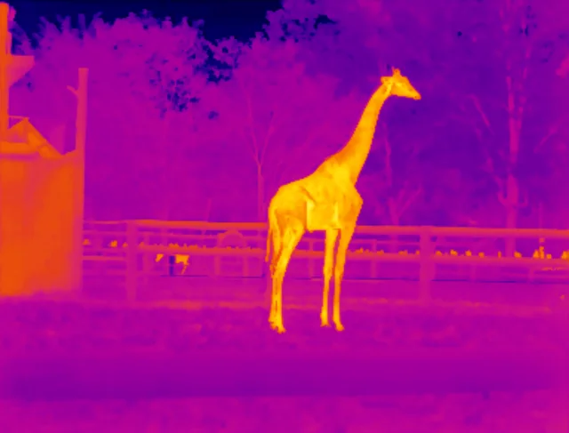 Xinfrared InfiRay Official T3S Thermal Camera Imager Infrared Imaging ...