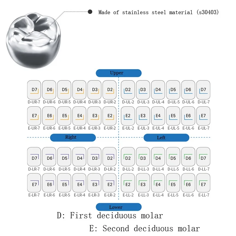 2nd Molar Stainless Steel Kids Teeth Crown 10PCS Primary Molar Teeth ...