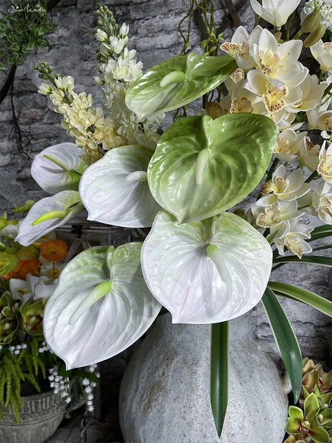 White Anthurium Bouquet