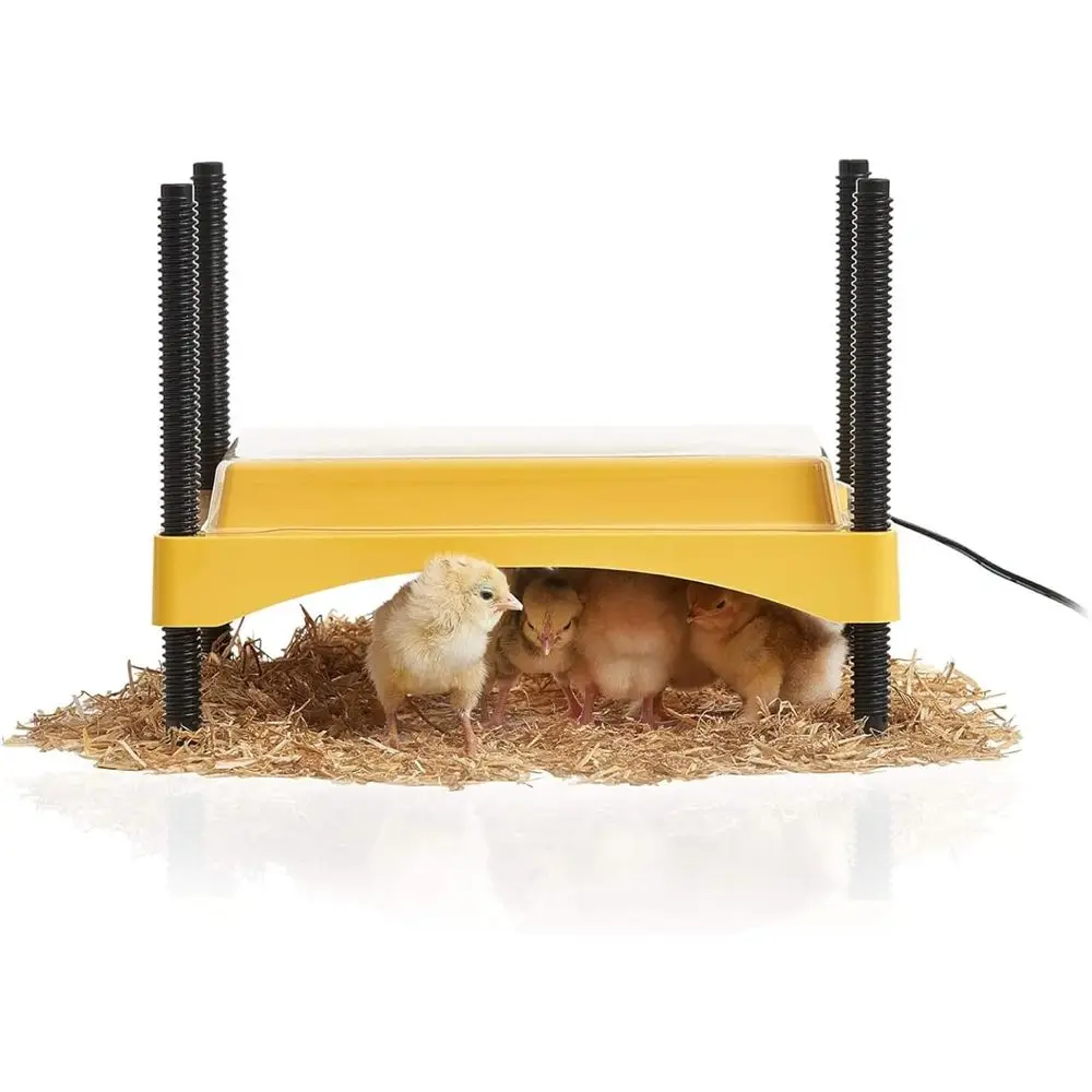 Brinsea Ecoglow Safety 600 Chick or Duckling Brooder, Adjustable Height ...