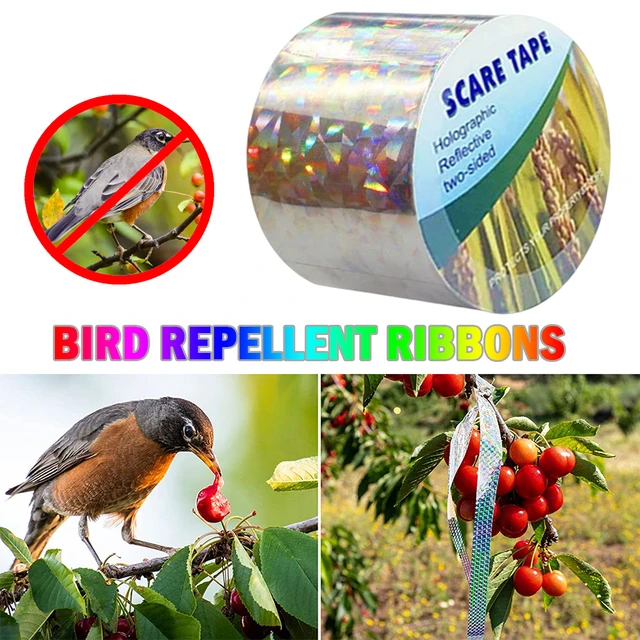 Bird Free Optical Gel, 48% OFF | green.dps.uminho.pt