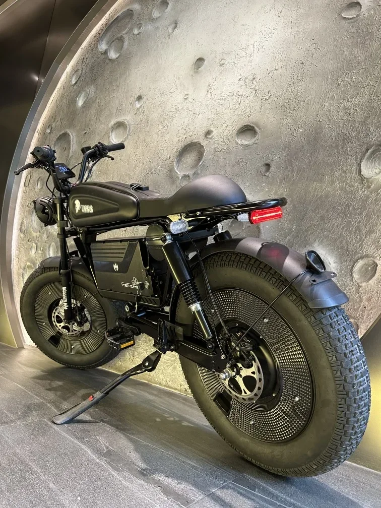 ZPW Black Warrior 1500W Motorbikes 48V 60AH Ebike Adult Road Electric ...