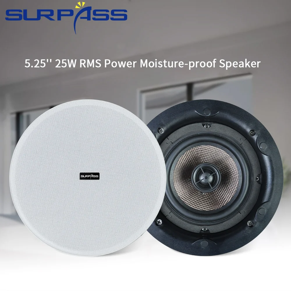 Home Audio PA System Ceiling Speaker 25W HiFi Stereo Sound Subwoofer ...