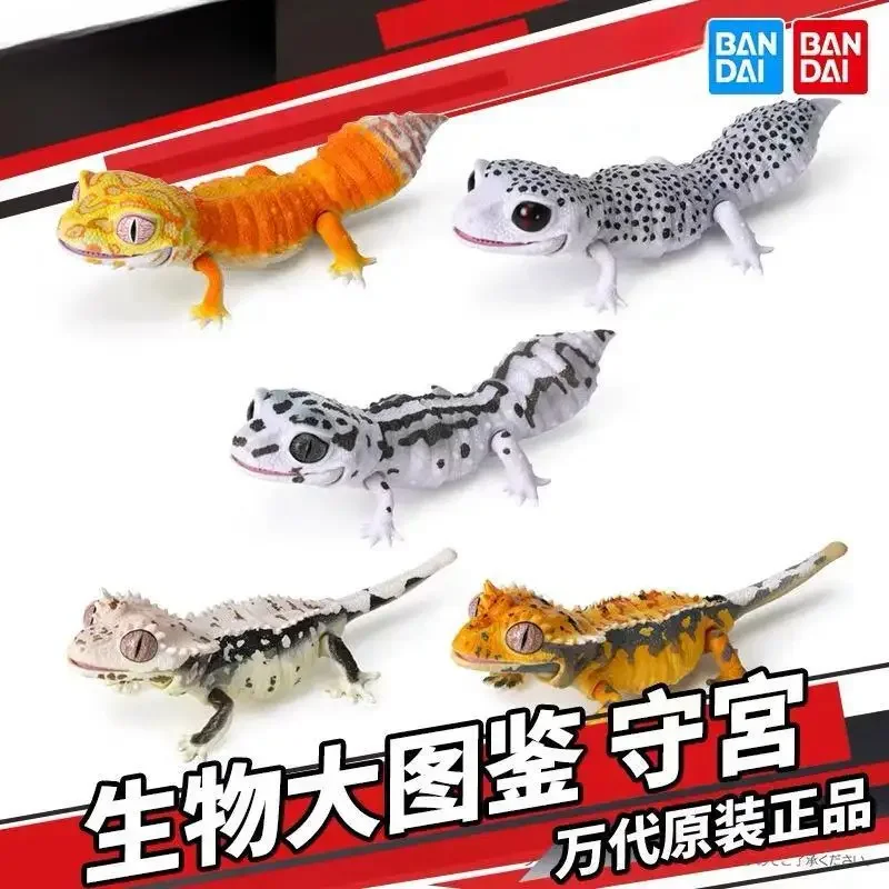Bandai-Original-The-Diverysity-of-Life-on-Earth-Giant-Simulation-Gecko ...