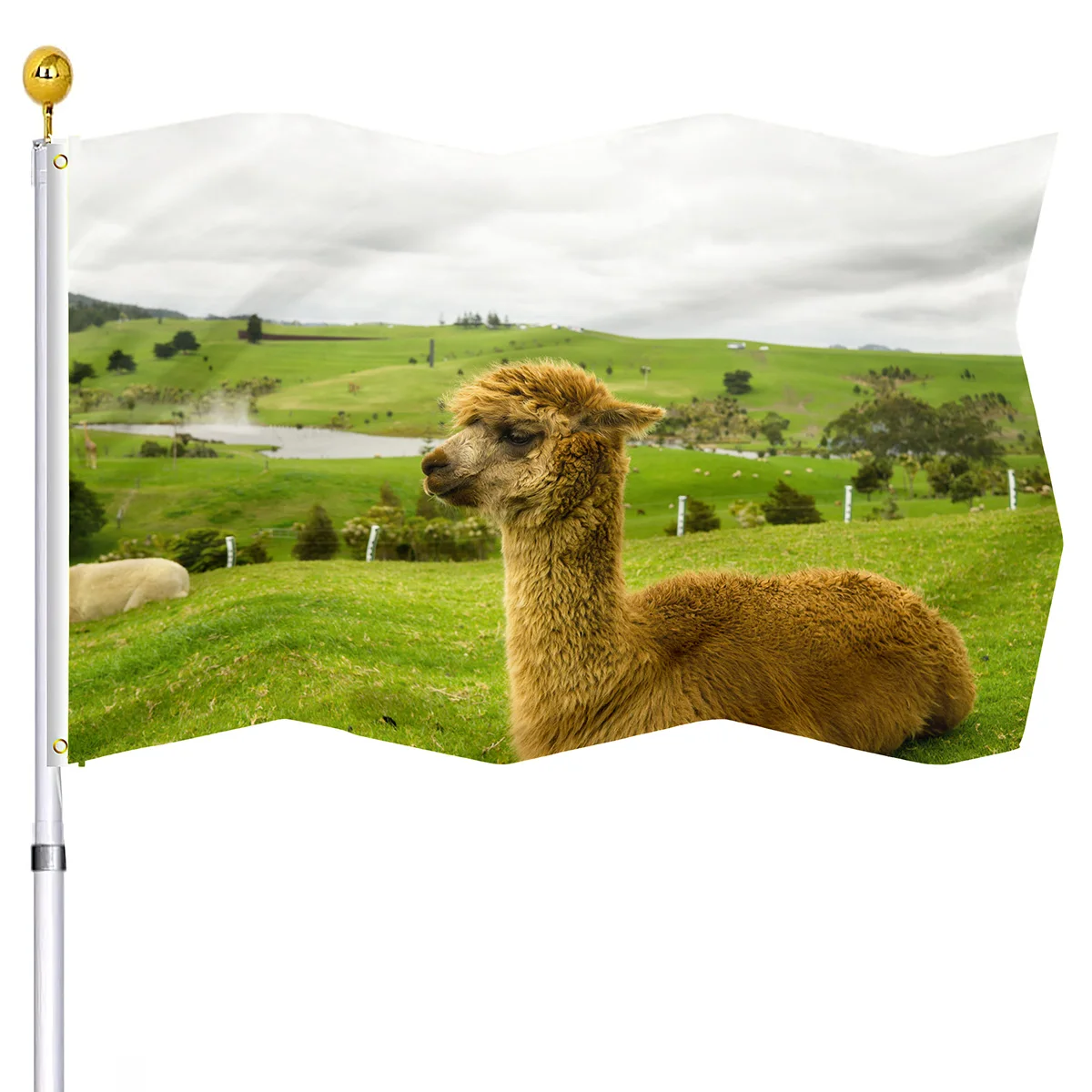 Alpaca Flag