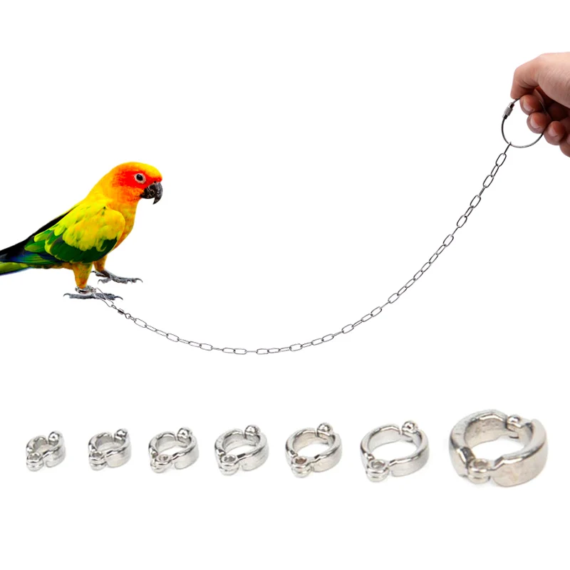 Parrot Stainless Steel Foot Ring Chain Opening Activity Ring for ...