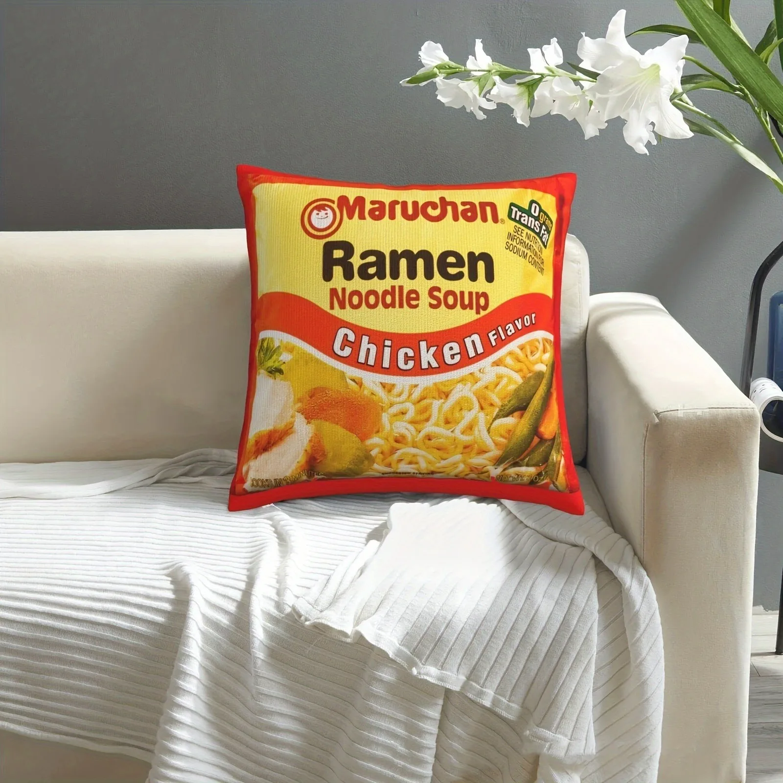 Funny Chicken Soup Meme Cushion Cover: The Quirky Kitchen Decor That ...