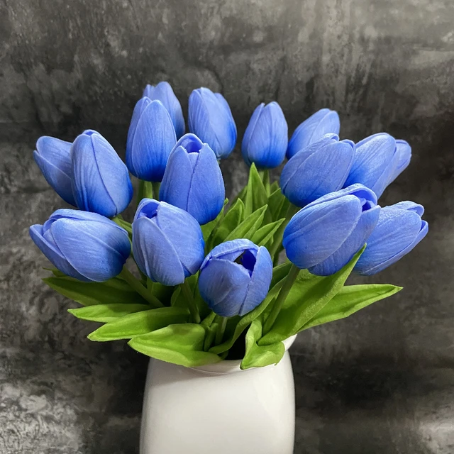 Real Blue Tulips