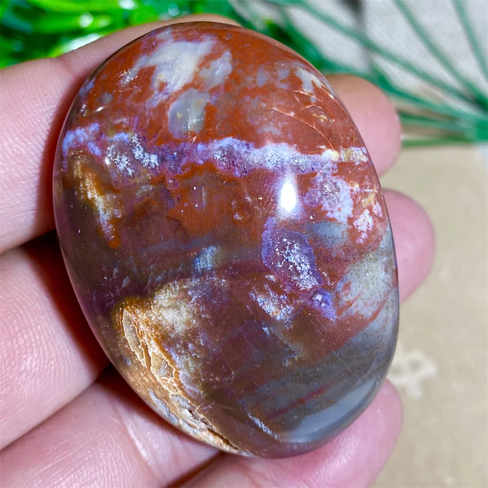 Woodstone Natural Stones Crystals Healing Xylopal Palm Mineral ...