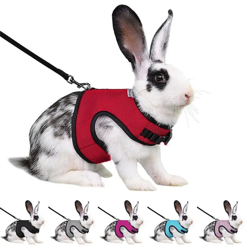 Rabbit-Harness-Comfortable-Adjustable-Traction-Tool-Ferret-Rats-Hamster ...