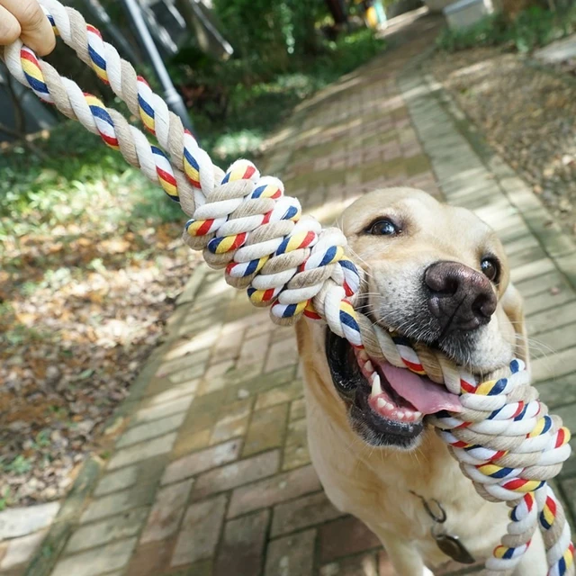 Rope Chew Toys For Dogs