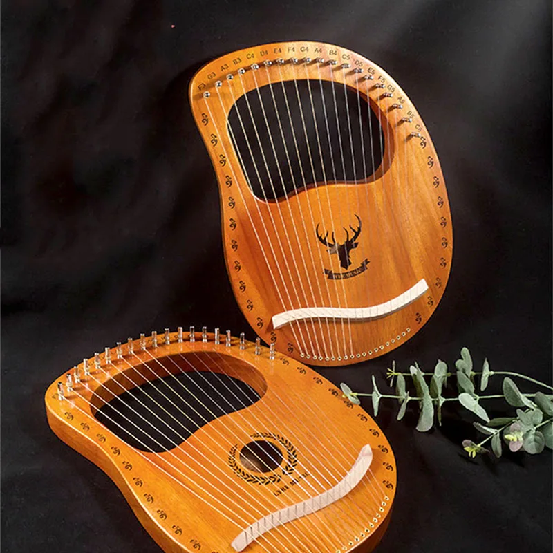 Unusual String Instruments