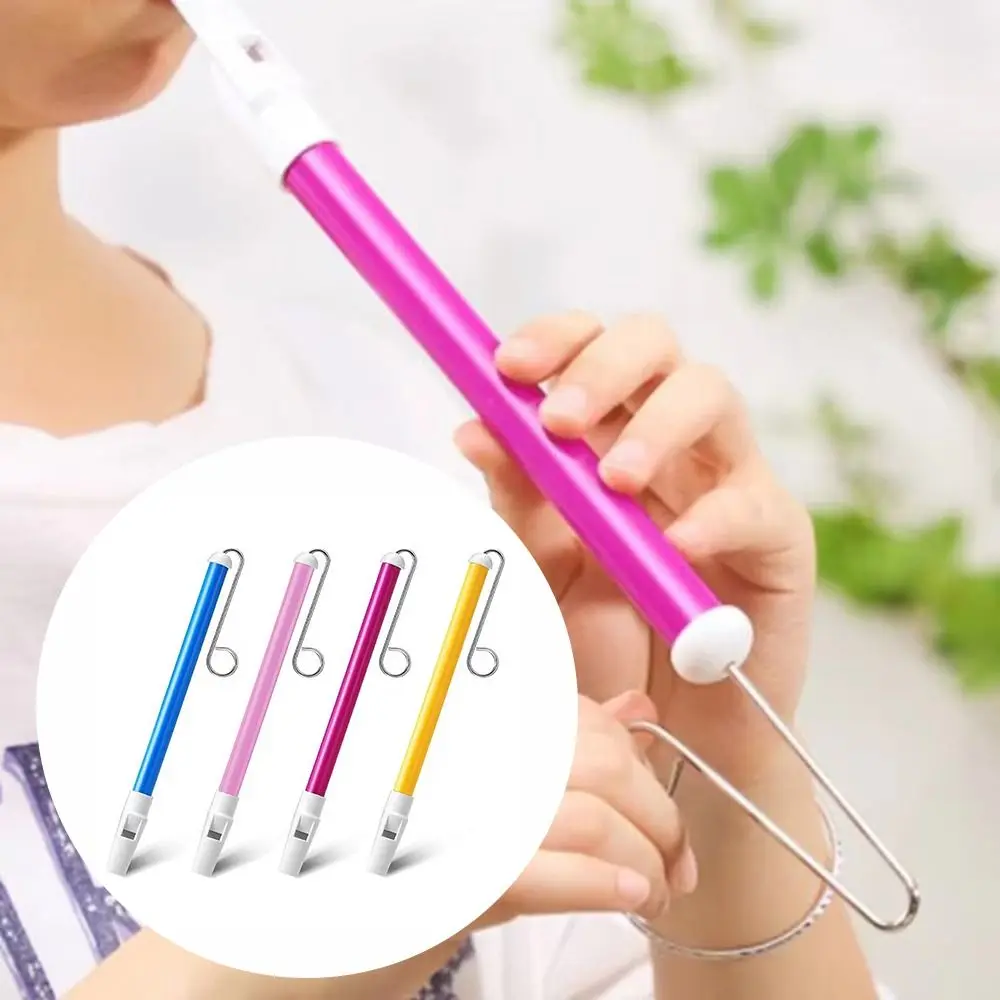 Classic Slide Whistle Toy Funny ABS + Stainless Steel Sliding Flute ...