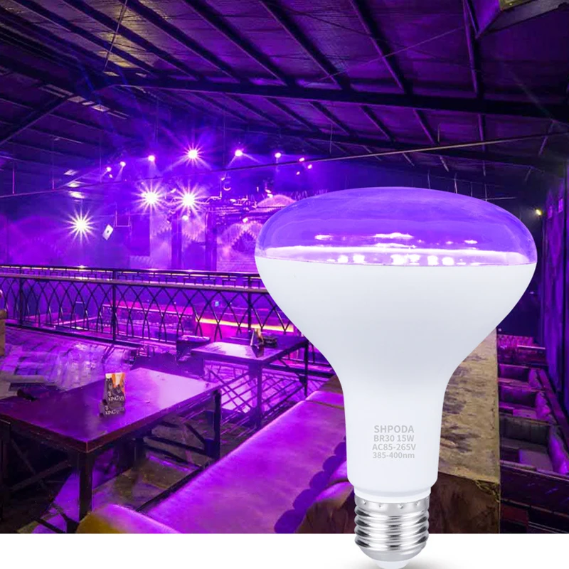 Purple Light Bulb Room