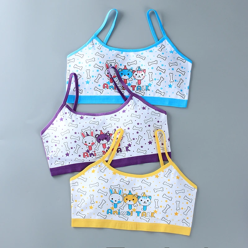 Underwear Lingerie For Girls Bra Panties Underpants Students Children ...