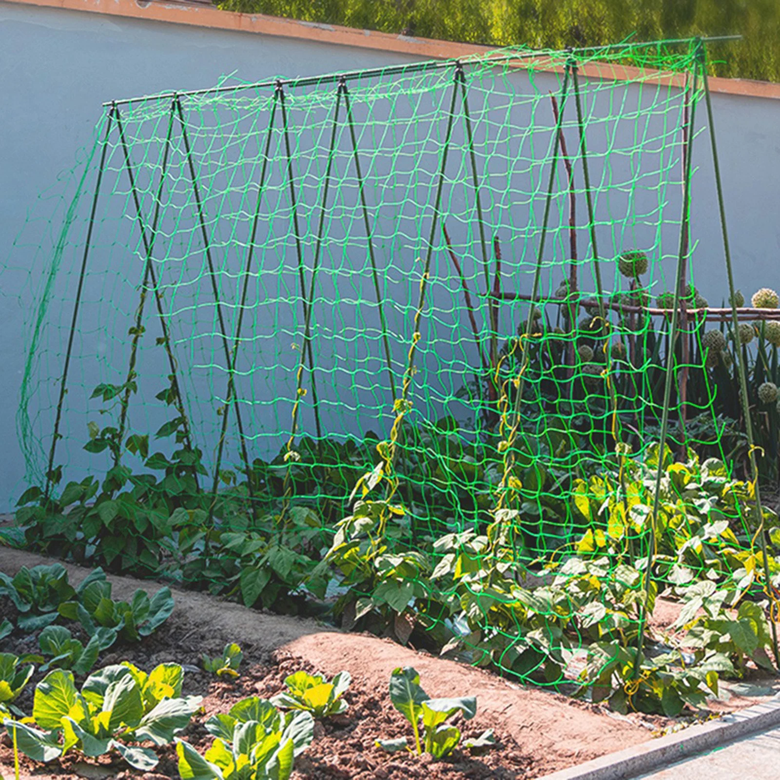 Garden-Netting-Plant-Vine-Growing-Holder-Sturdy-Plant-Trellis-Support ...