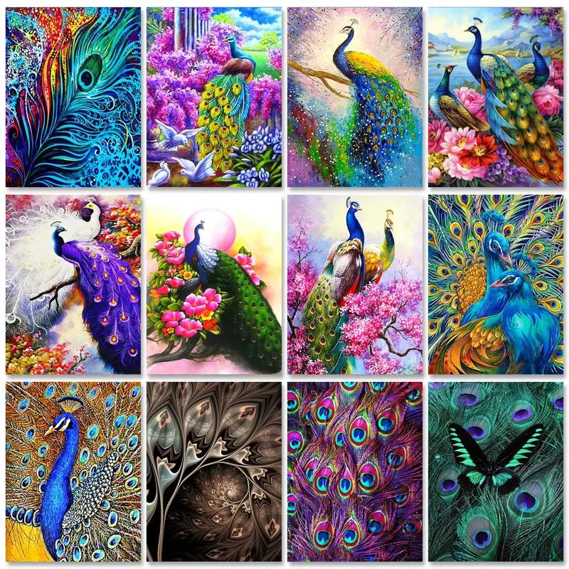 RUOPOTY-Frame-Picture-Diy-Painting-By-Numbers-Peacock-Animals-Drawing ...