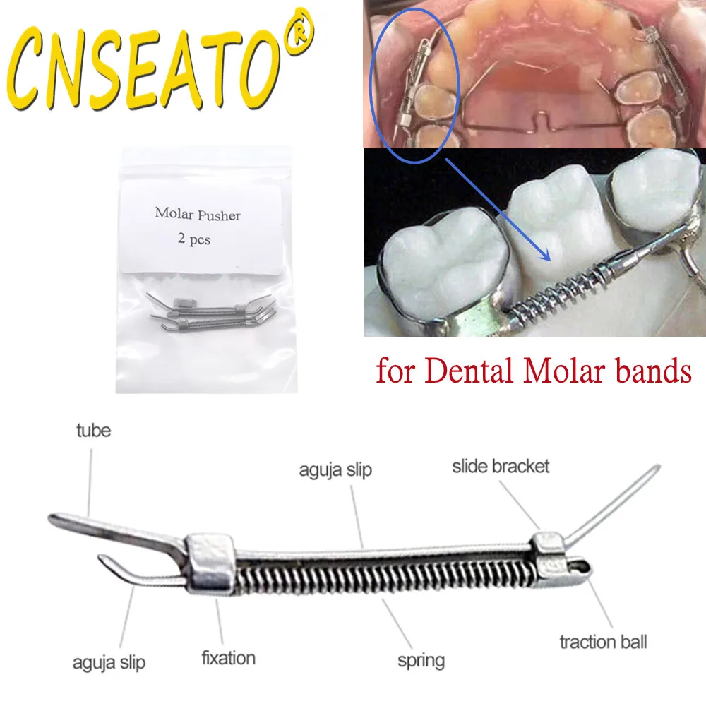 2Pcs-Dental-Orthodontic-Molar-Pusher-Coil-Spring-Expansion-For-Push ...