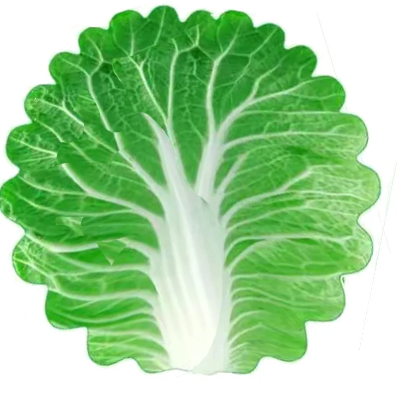 Creative-Cabbage-Leaves-Vegetable-Throw-Blanket-Vegan-Gift-for-Girl-Boy ...