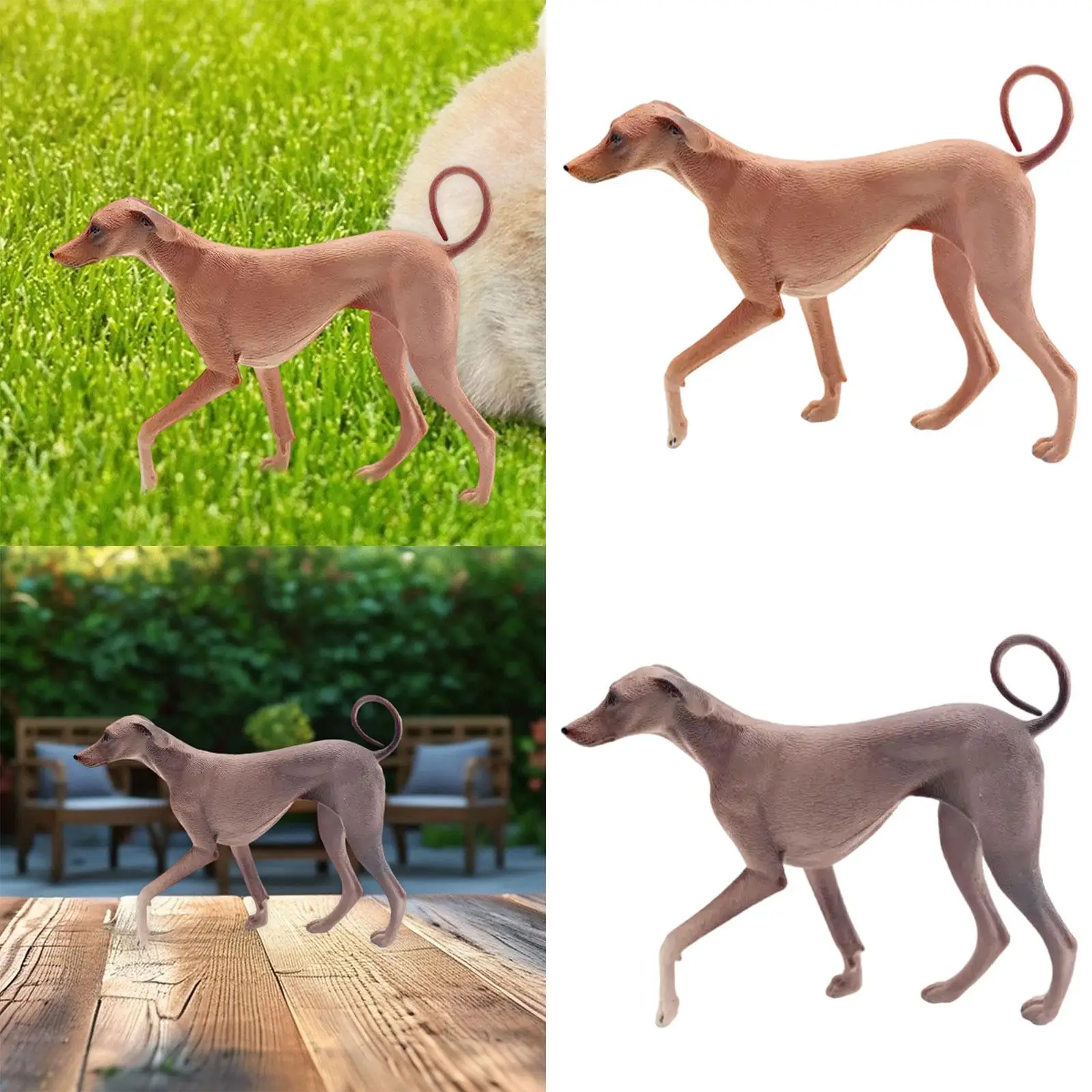 Azawakh Dog Statue,Simulation Model Collectible Realistic Dog Figurine ...