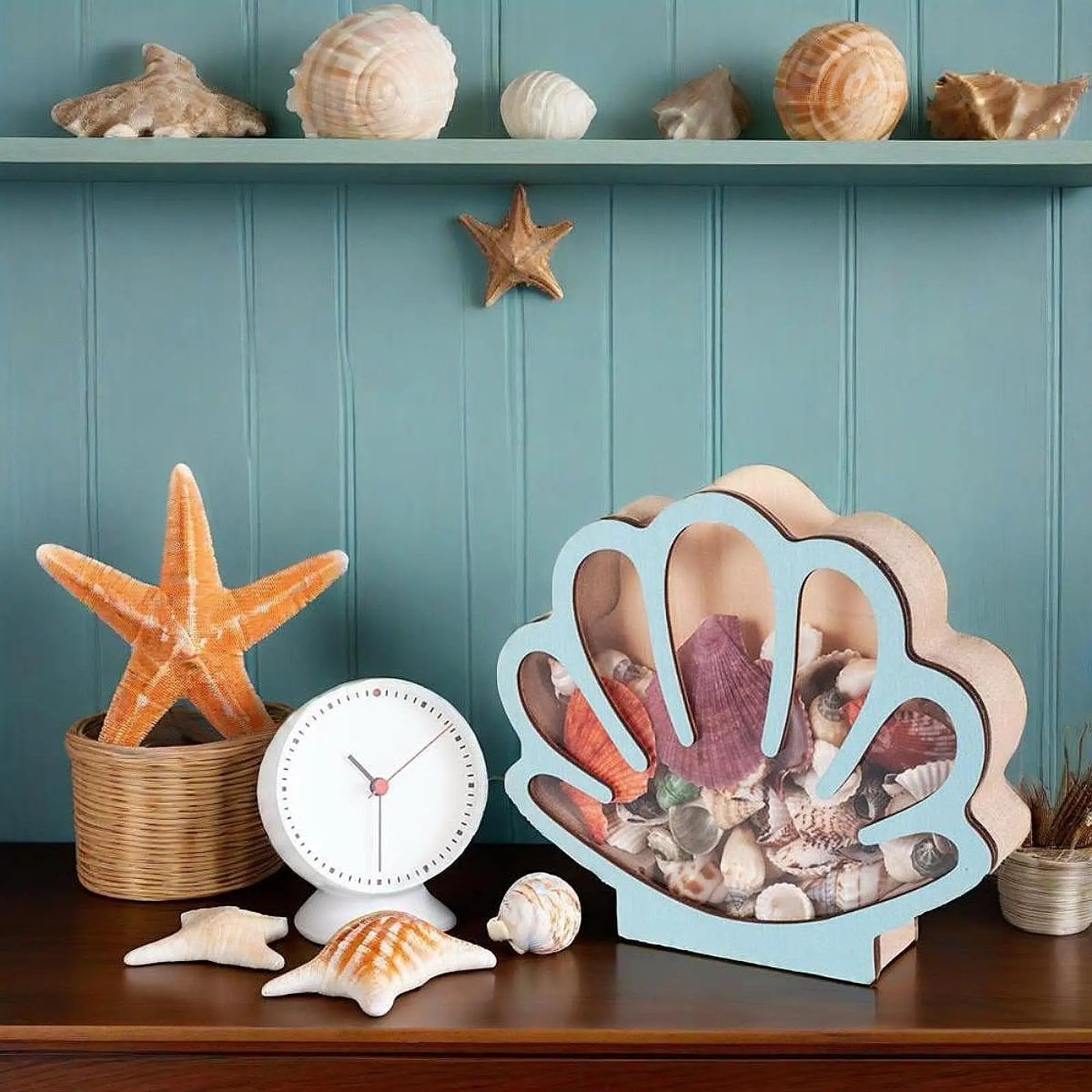 Shell Display Box Versatile Collector Money Jar Decorative Seashell ...