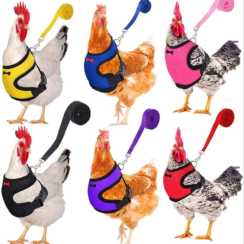 Fashion-Chicken-Vest-Hen-Belt-Pet-Harness-Matching-Collars-Bow ...