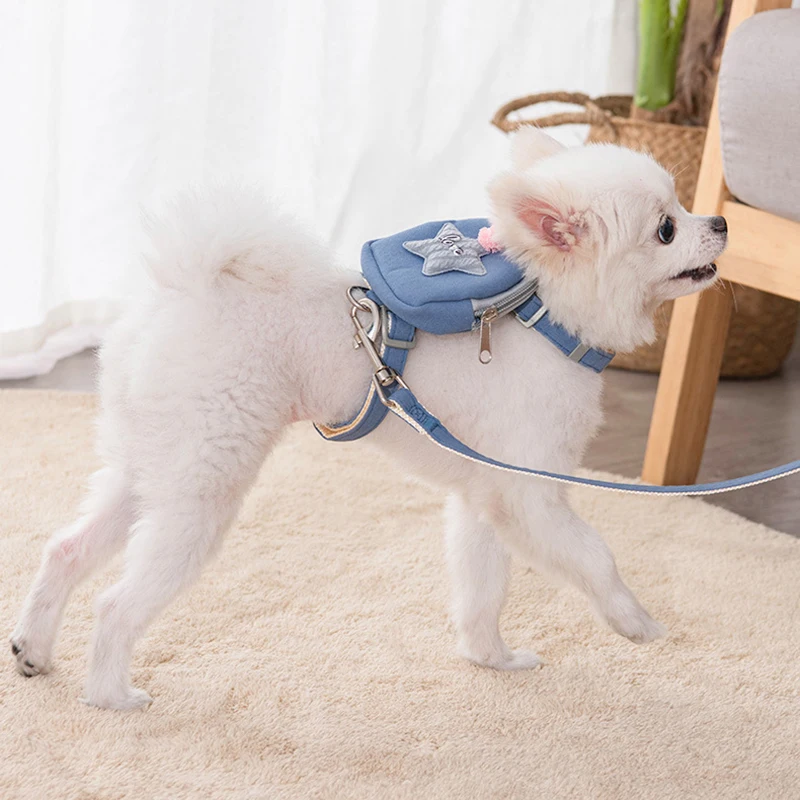 Cute Walking Backpack For Dogs – DogMega.Com