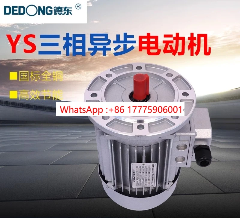 Shanghai Dedong small motor YS7124 three-phase asynchronous motor 0 ...