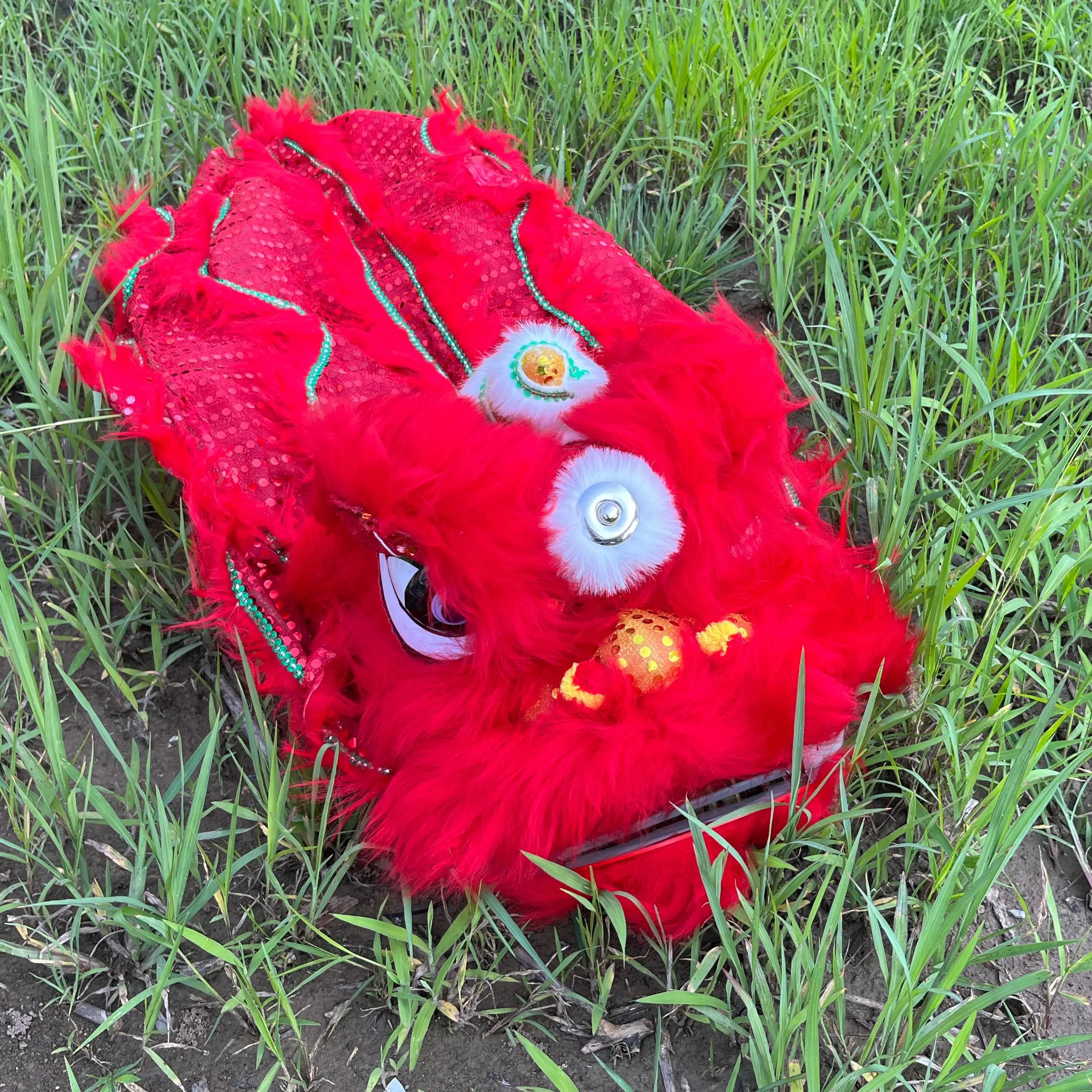 14 inch Lion Dance Costume Royal Suit 5-12 Age kid Children Cartoon ...