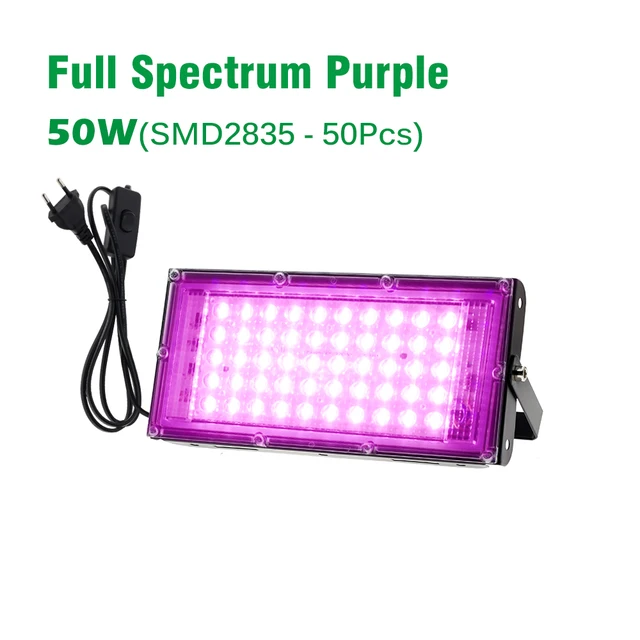 TRANYTON Official Store