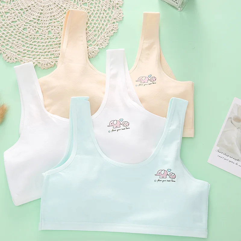 Cotton-Girls-Underwear-Development-Stage-Primary-School-Girls-Small ...