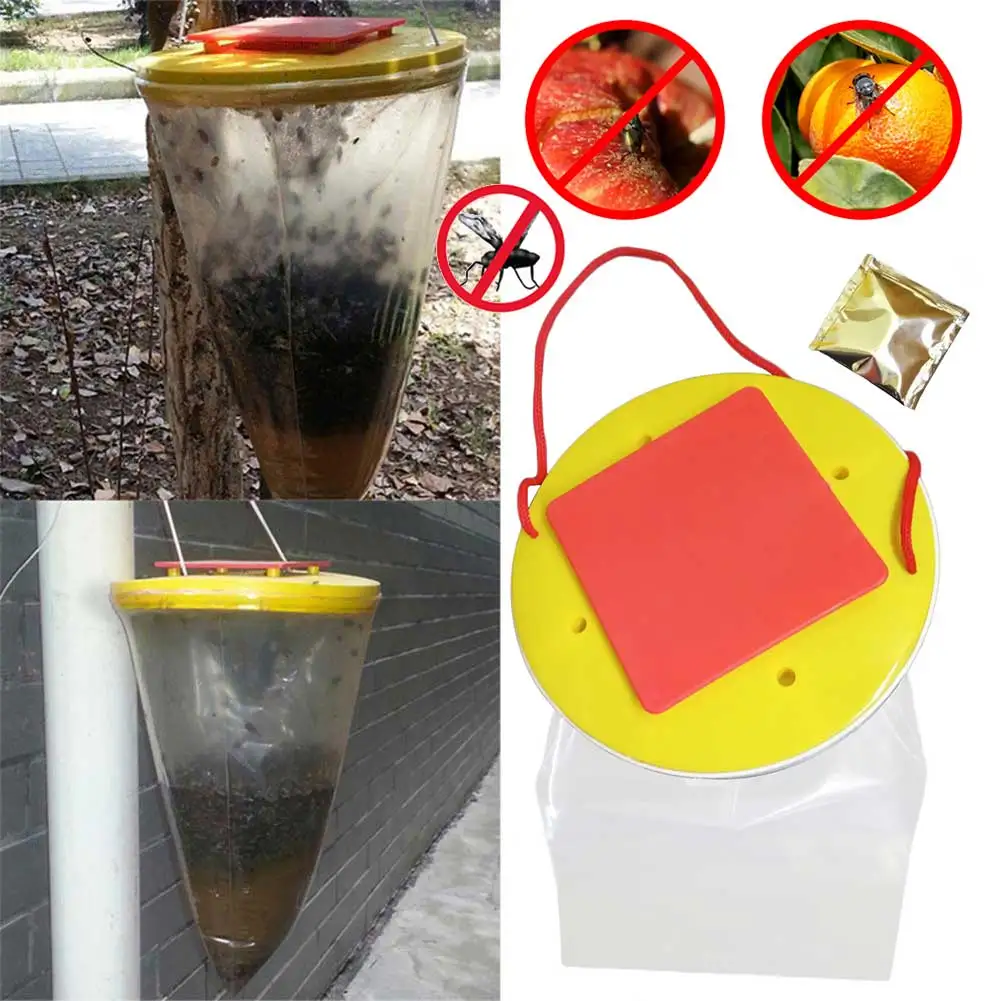 Flies-Flytrap-Pack-Transparent-Insects-Pest-Traps-Reusable-Practical ...