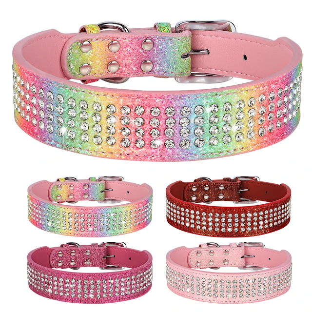 Sparkly Dog Collars Girl