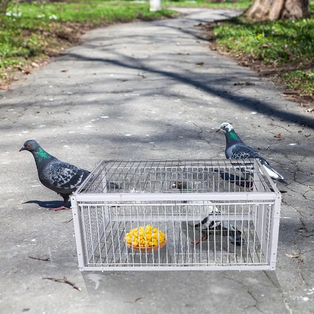 Auto Trap Bird Cage Rabbit Cage Mouse Cage Entry Only No Exit Thickened ...