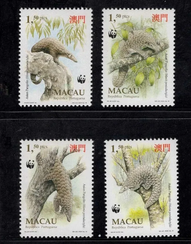 4-PCS-Macau-China-1995-Pangolins-Animal-Stamp-WWF-Real-Original-Good-Condition-Collection-MNH.jpg