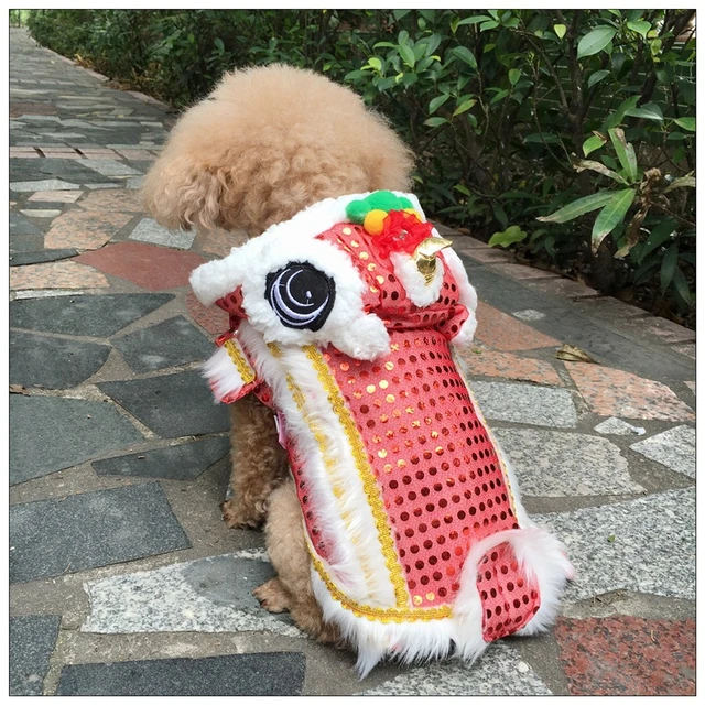 Chinese Lucky Cat Costume