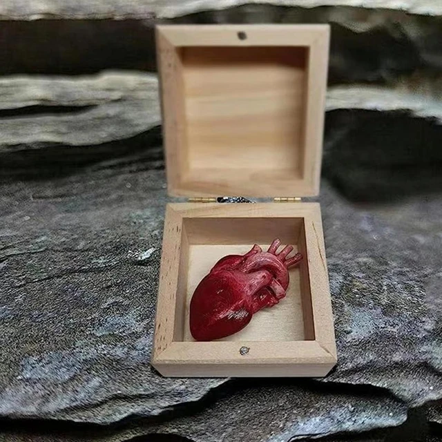 Real Heart Pictures For Kids