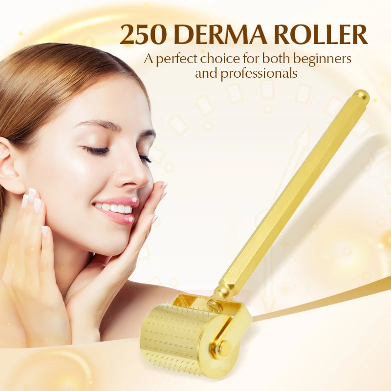 Drs 250 Gold Derma Roller Titanium Microneedle Face Roller Hair Growth Dermaroller Seamless ...