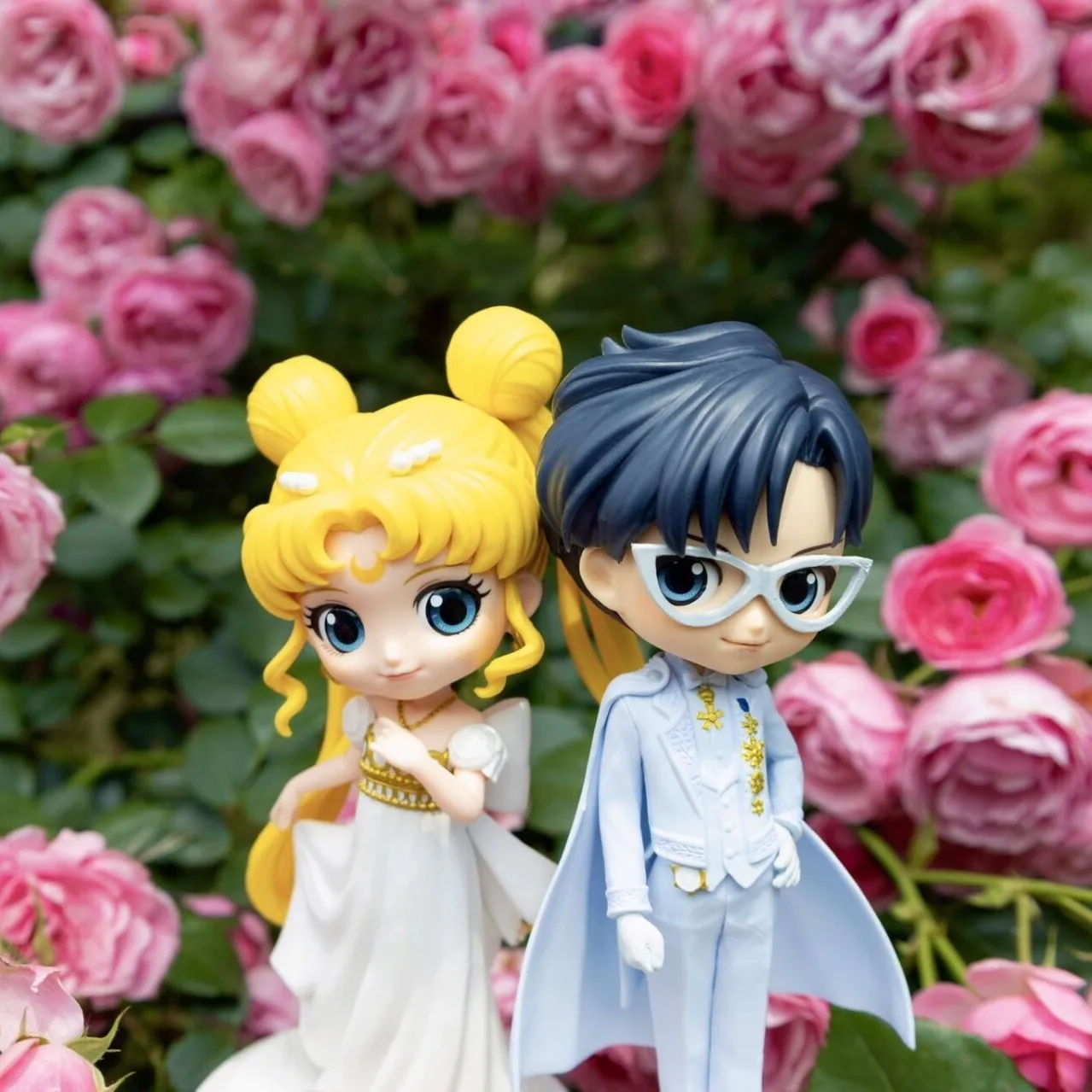 Tuxedo Mask And Sailor Moon Wedding