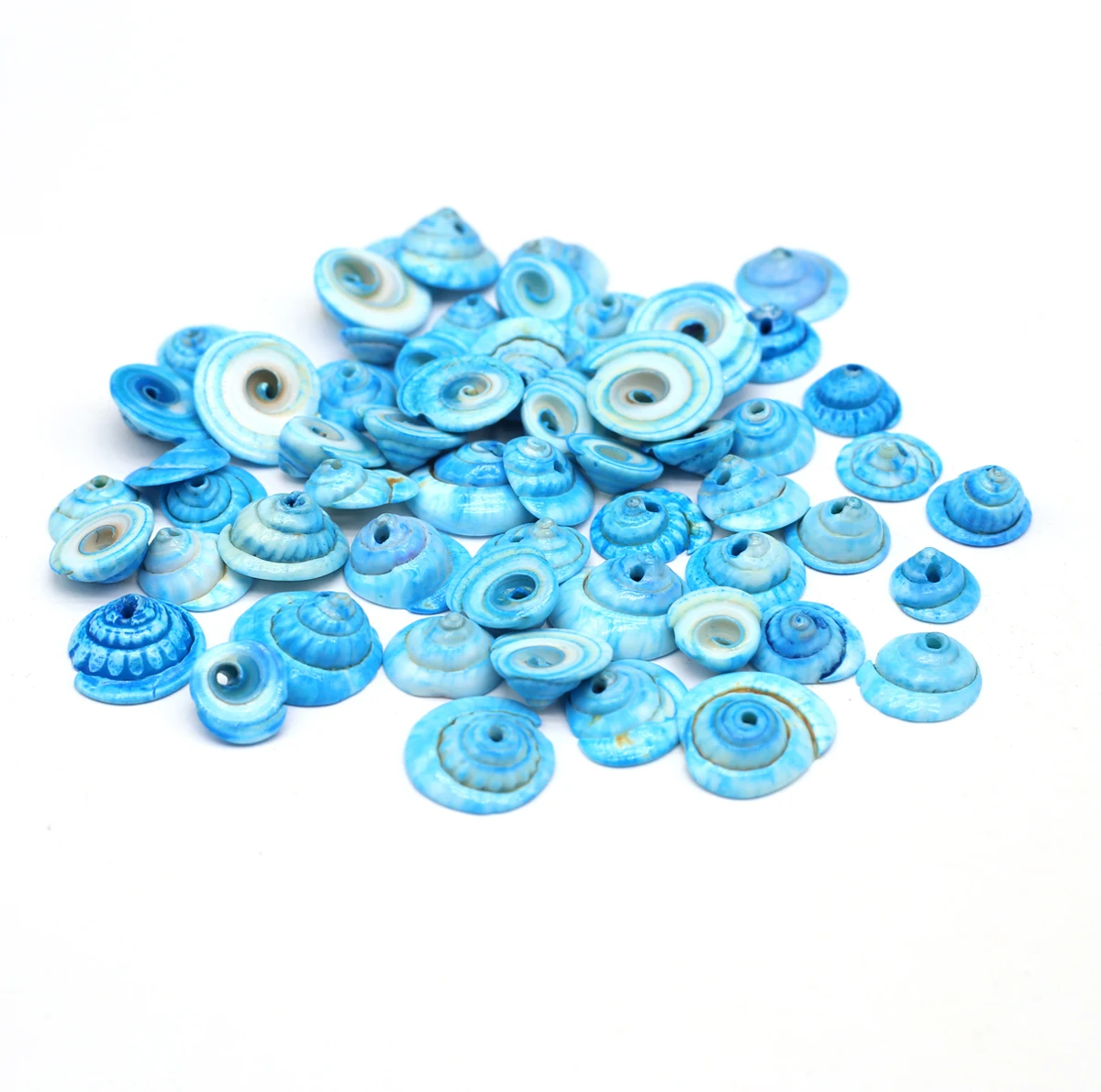 100-Gram-Natural-Shell-Shellfish-Blue-Conch-Beads-for-Fish-Tank ...