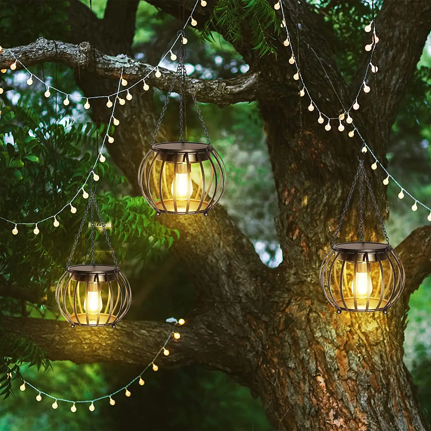 Lanterns Hanging From Trees