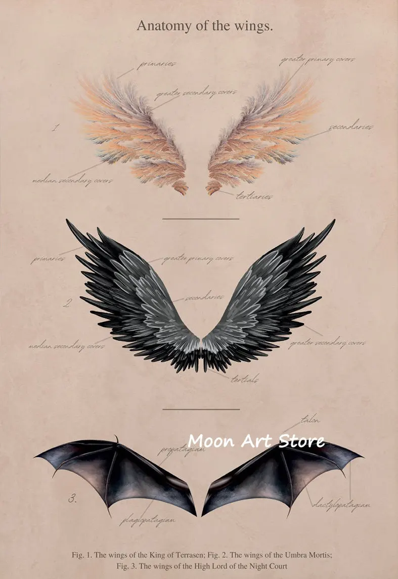 Anatomically Correct Wing Tattoo